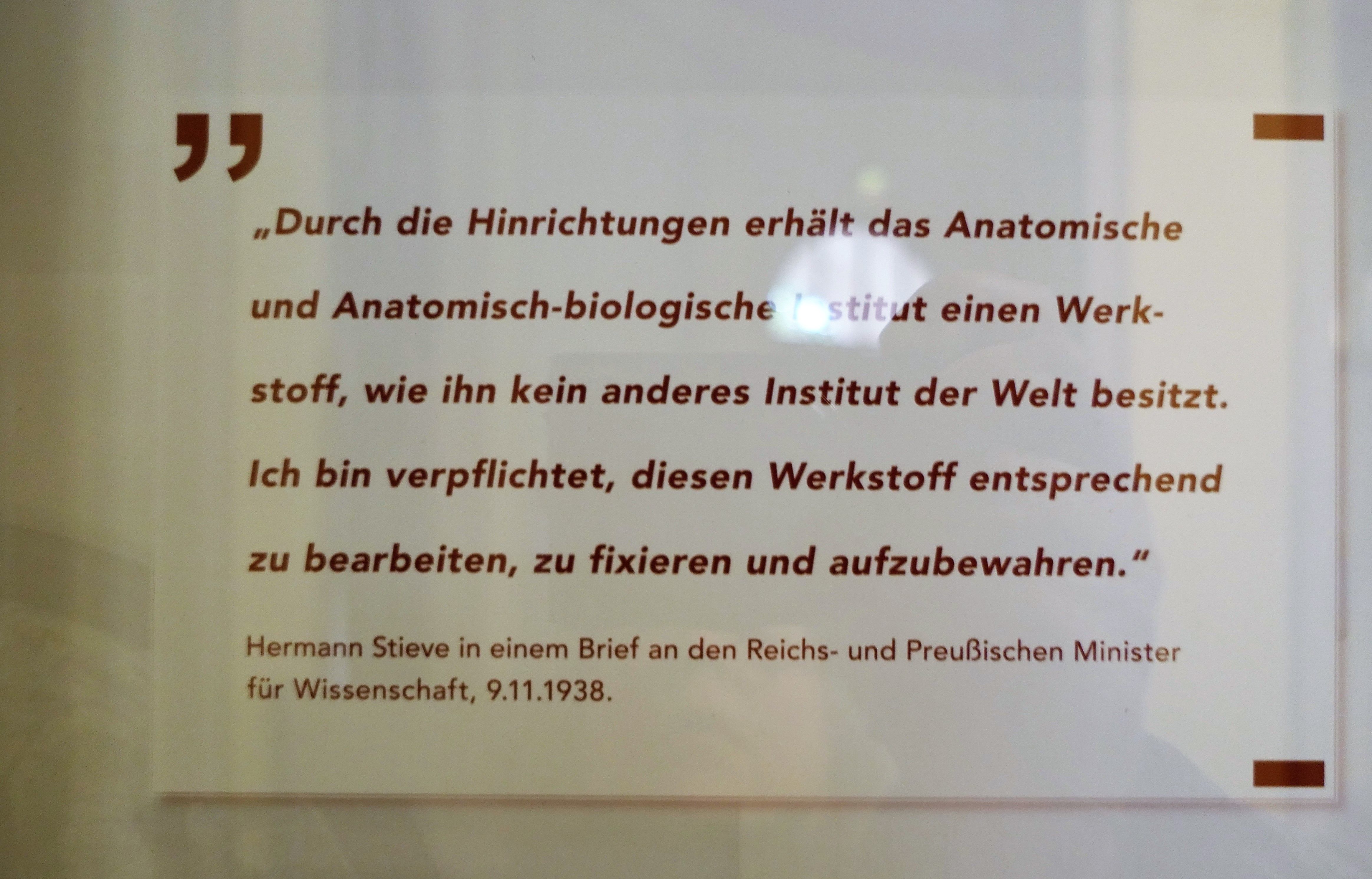 Projekt Irena Bobowska. Tkanki. – Ewa Maria and Friends